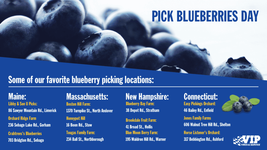 Best Blueberry Spots Picked Just for You! | VIP Tires & Service